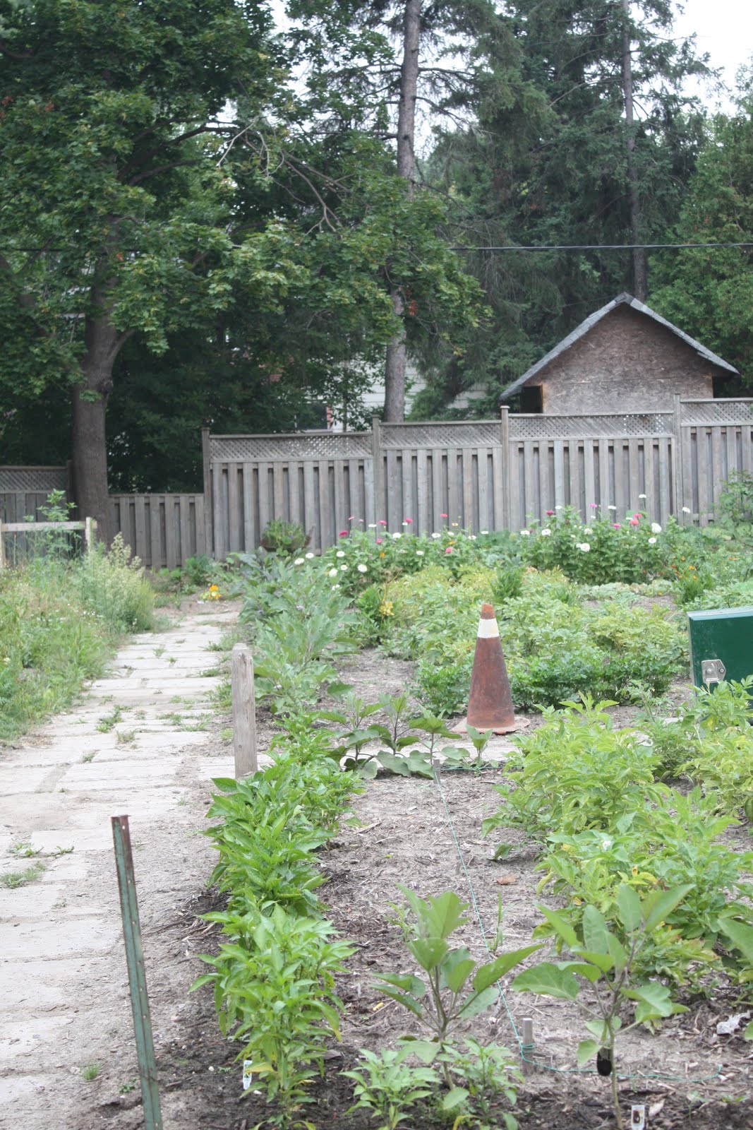 Paintings by Maria Waye