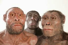 Museo de Ciencias Naturalez