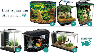 Best Aquarium Starter Kit | Aquarium Starter Kits