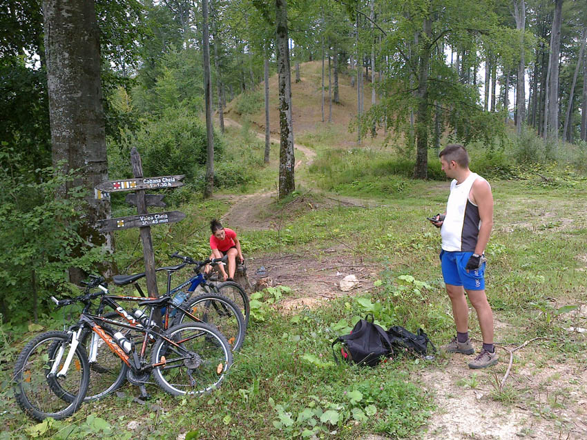 Toate Directiile: Olanesti - Cabana Cheia - Valea Cheii