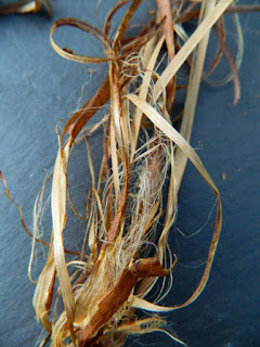 Our Green Neighbors: Cordage Plants