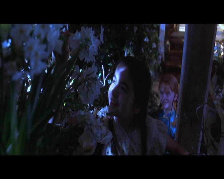 Night with her train of stars: Practical Magic