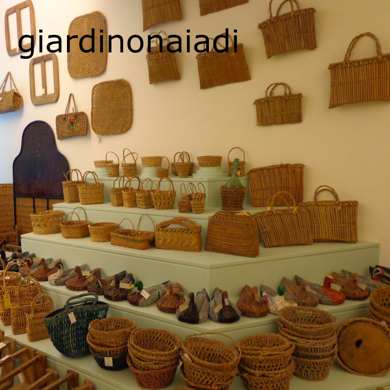 Il giardino delle Naiadi: LA FLESSUOSITA' DEL GIUNCO, JUNCUS EFFUSUS