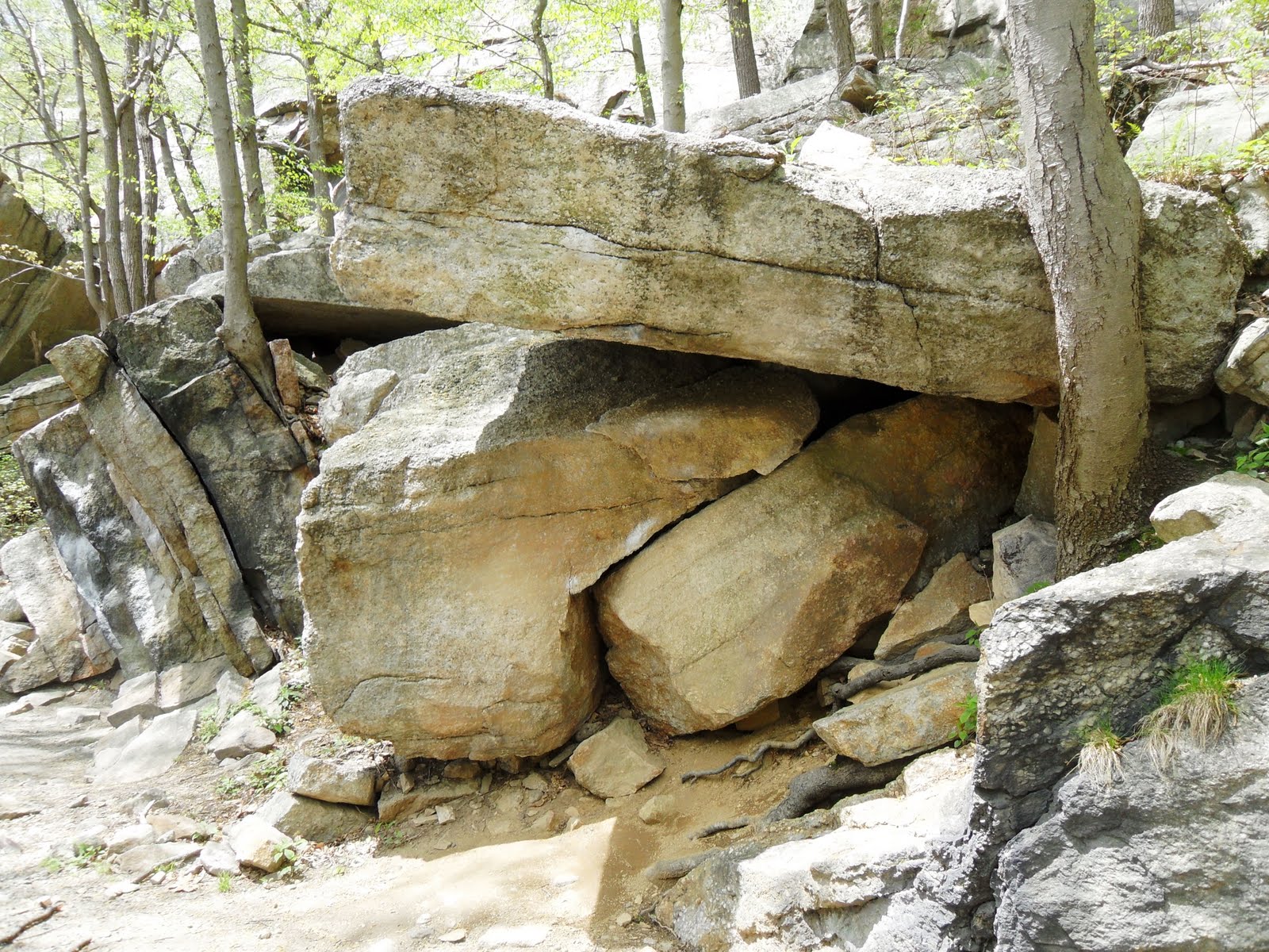 Esoderica: Blood on the Rocks