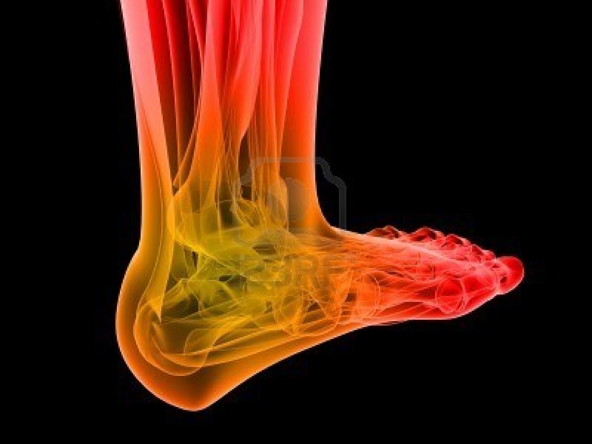 Dietas y fitness: El #tobillo #anatomía y #lesiones más frecuentes