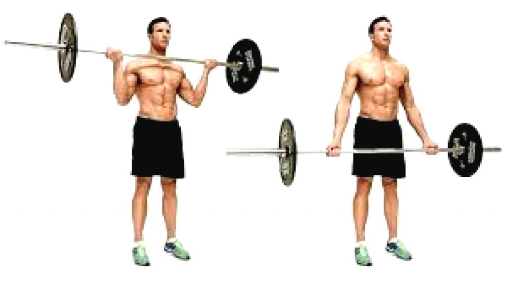 The Best Biceps Exercises - Best Body