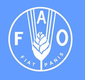 LA ONU A DEBATE: LA FAO: CORRECTO COMPROMISO