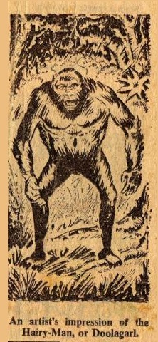 Blog Misteri Tesla: Legenda Yowie