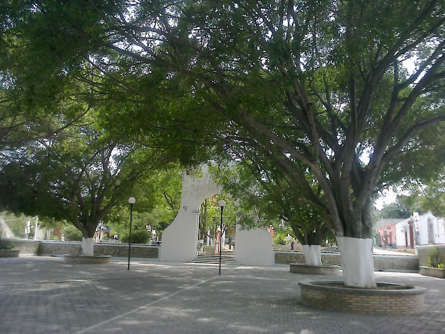 MUNICIPIOS DE MI MÉXICO: Zapotitlán. único y virtualmente desconocido ...