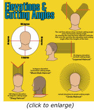 B2MR: A place to share thoughts grow idea's: Blonde hIghlights techniques: