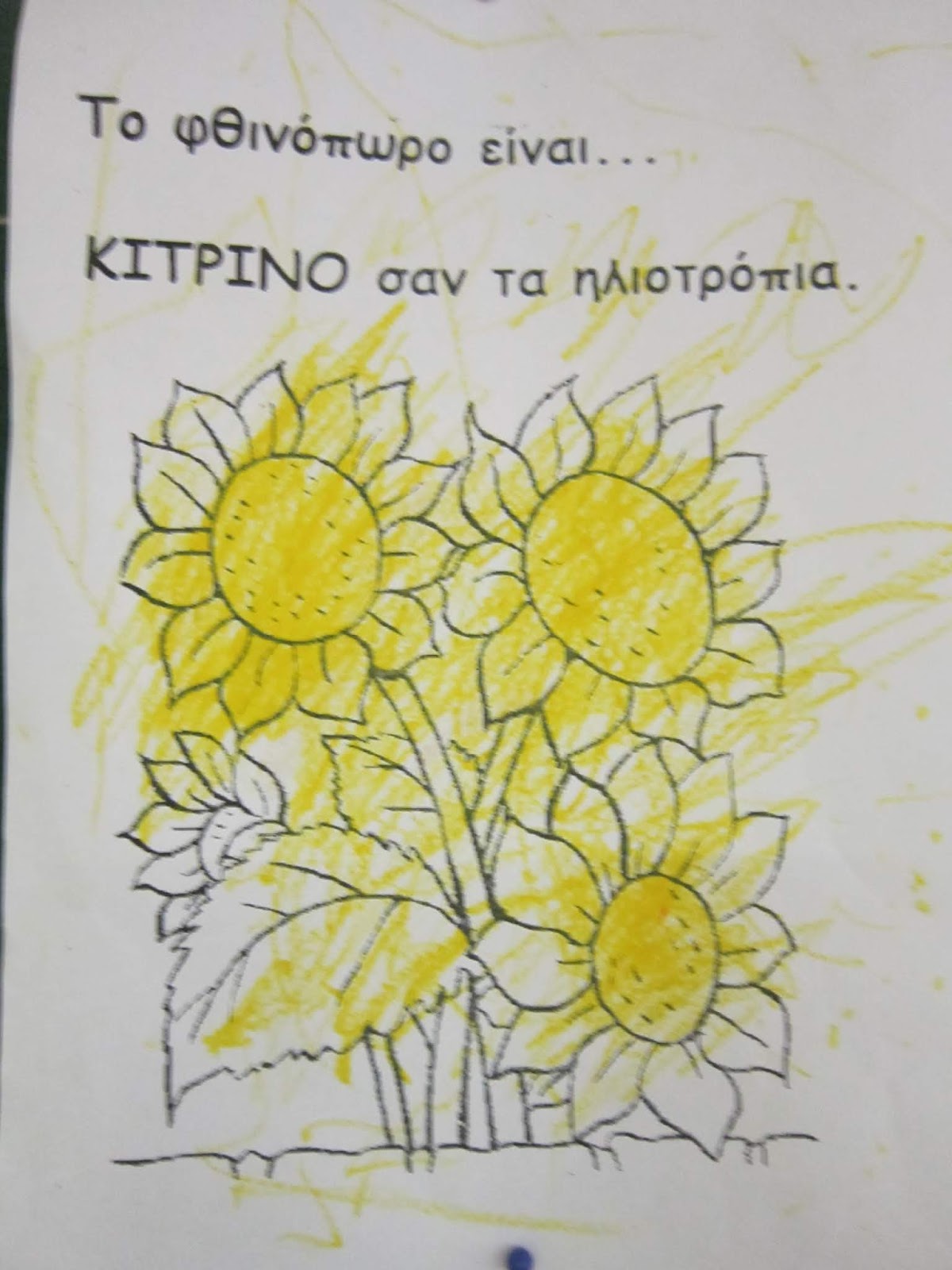 ΒΡΕΦΟΝΗΠΙΑΓΩΓΟΣ ΣΕ...ΔΡΑΣΗ!!!!: ΘΕΜΑ: "ΛΙΓΑ.... ΦΘΙΝΟΠΩΡΙΝΑ"