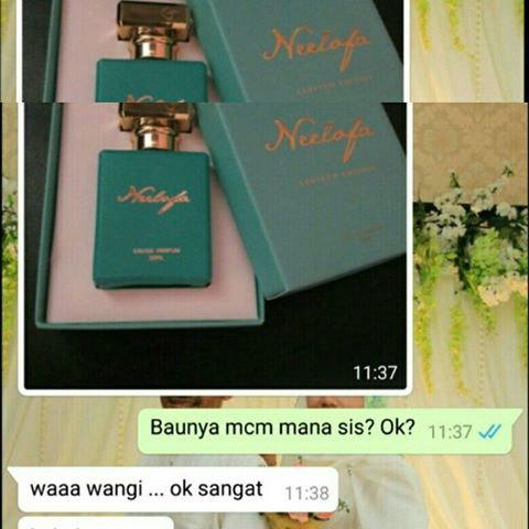NEELOFA PERFUME MURAH | Harga Murah Original cikza beauty shop