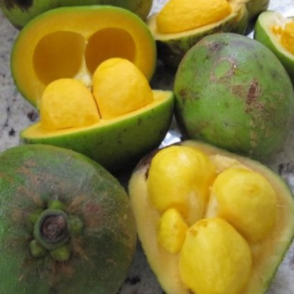 VerdeMente: Frutas do Cerrado