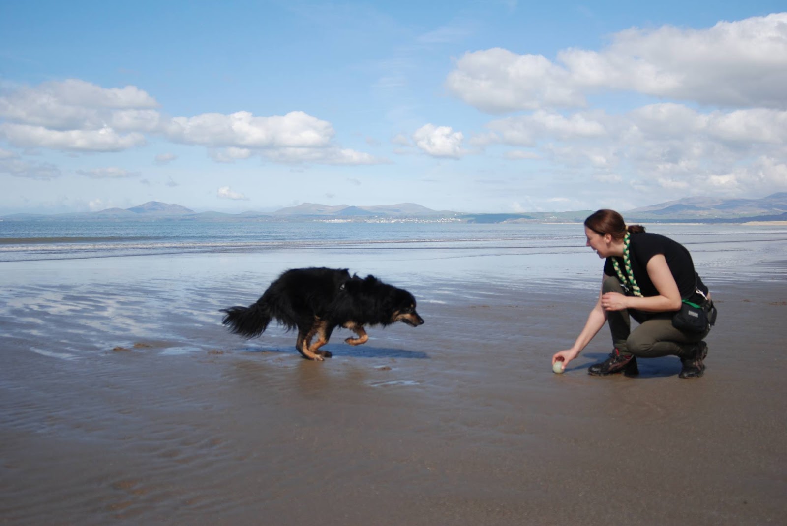 The Truth About Nats & Dogs