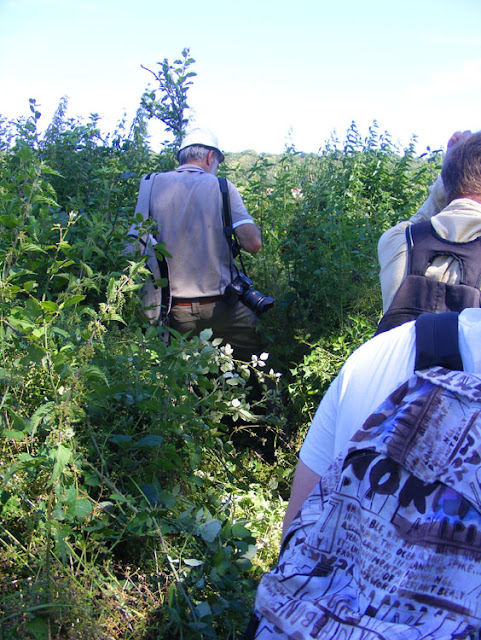 Days on the Claise: Surveying at the Standing Stone