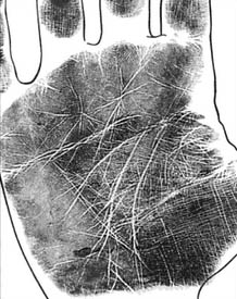 Lotus Sign On Palm Indian Palmistry ~ INDIAN PALMISTRY | PALM READING ...