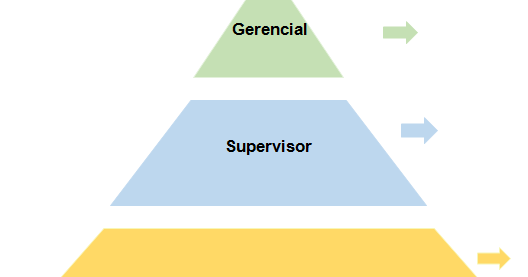 Administración - Informática: Pirámide Organizacional