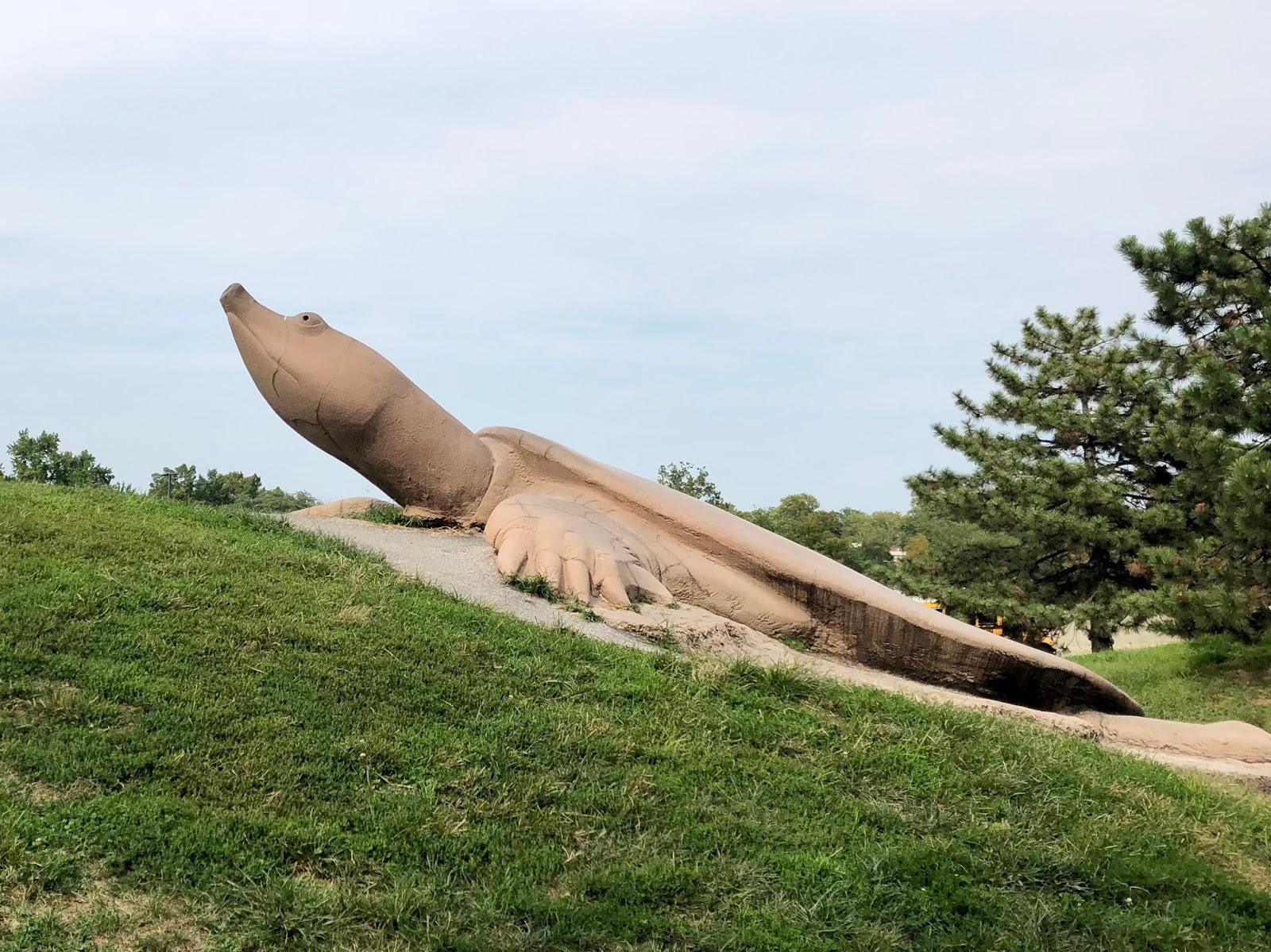 Turtle Playground, St. Louis