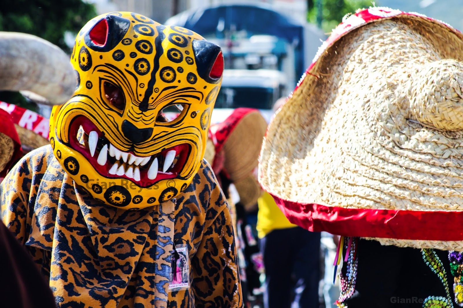 FoToRAma: Máscaras de Tecuan#Tigre#Jaguar