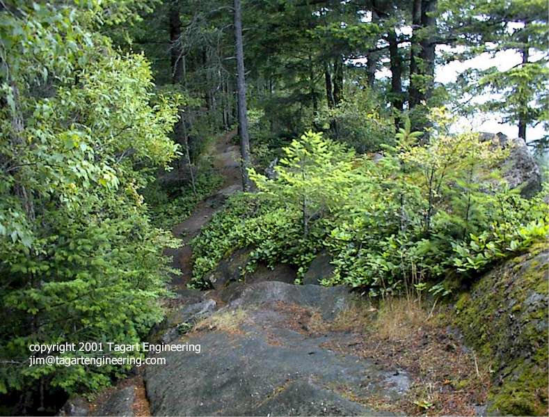 Reinventing the Run: 2012 Chuckanut 50K