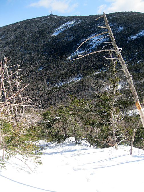 Hiking in the White Mountains: Still Winter in Franconia Notch