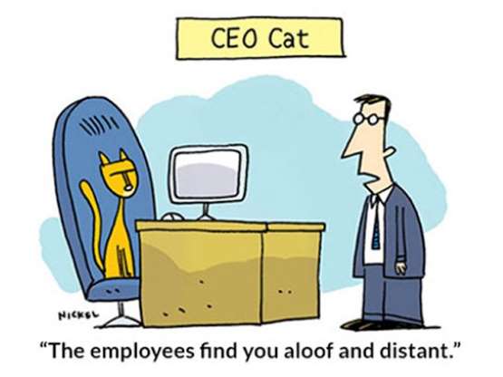 Team Building Talk: Cartoon of the Day: CEO Cat