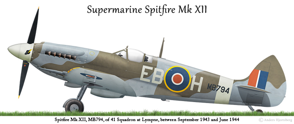 The Profile Paintshop: Spitfire XII of 41 Squadron