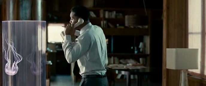 Box Jellyfish Seven Pounds