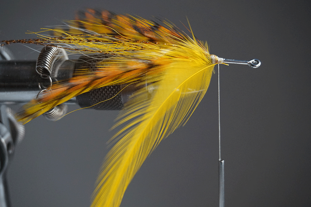 Fly Paper: TCL Special Fly Pattern