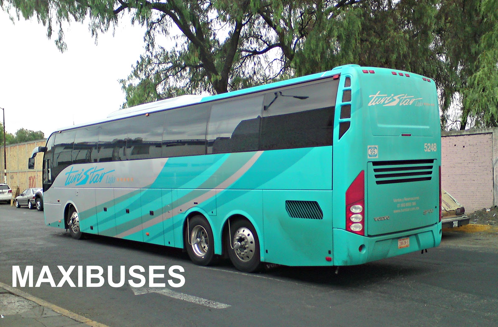 MAXIBUSES: TURISTAR LUJO - NUEVAS UNIDADES