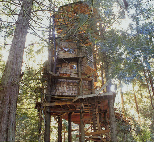 Waiting in the shade sitting on a brick ...: A tree house gone extreme