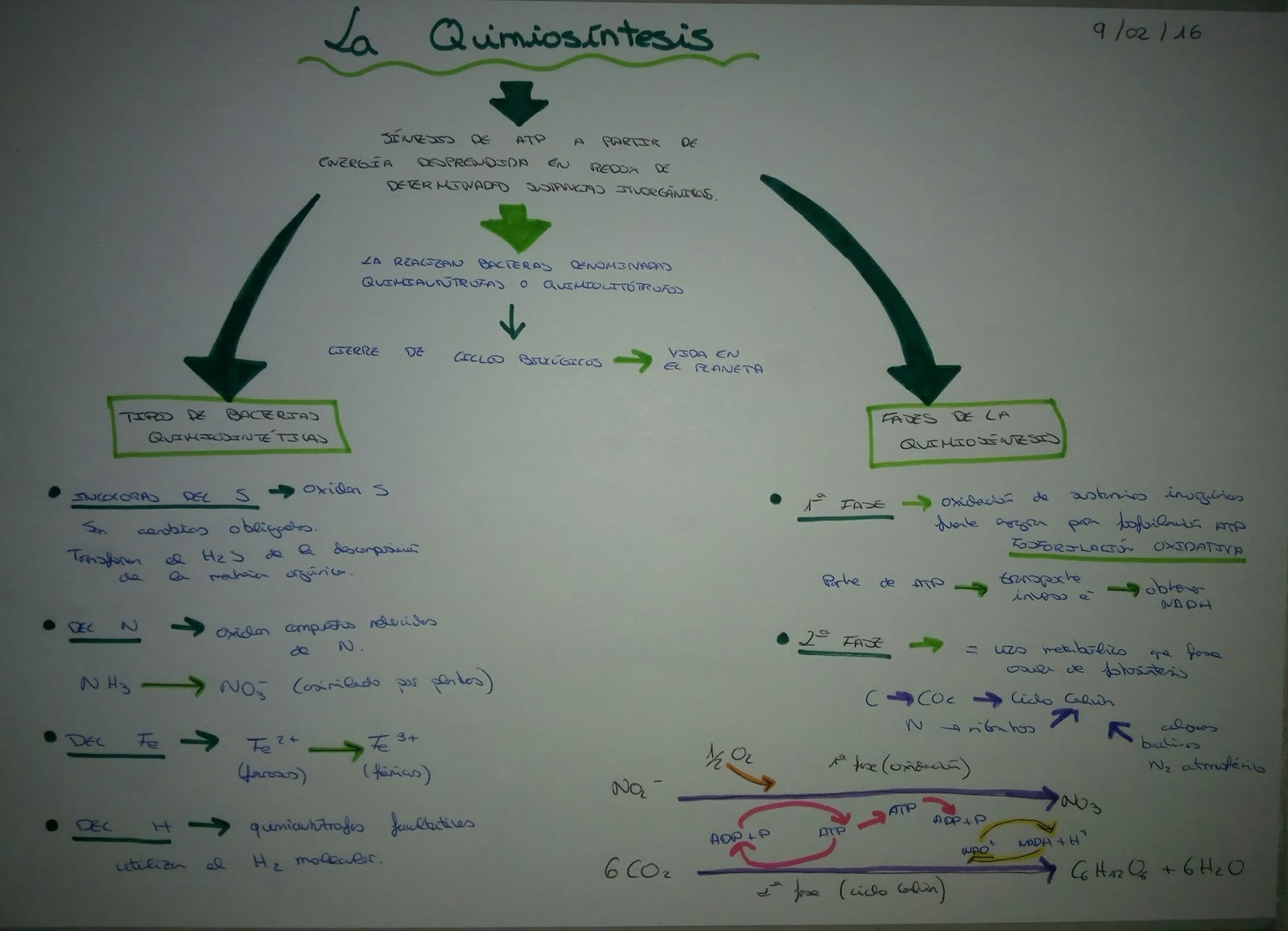 Biologia: febrero 2016