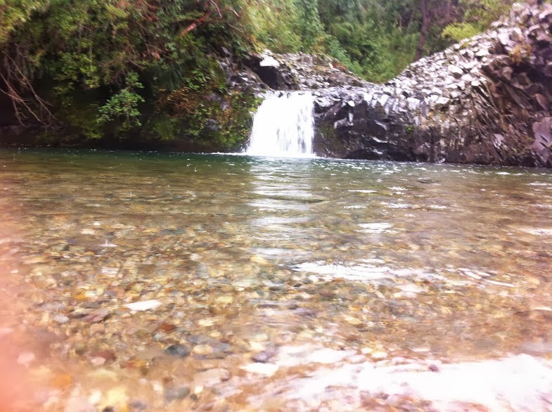 Cabañas vilches Alto: Cabañas de veraneo Vilches Alto