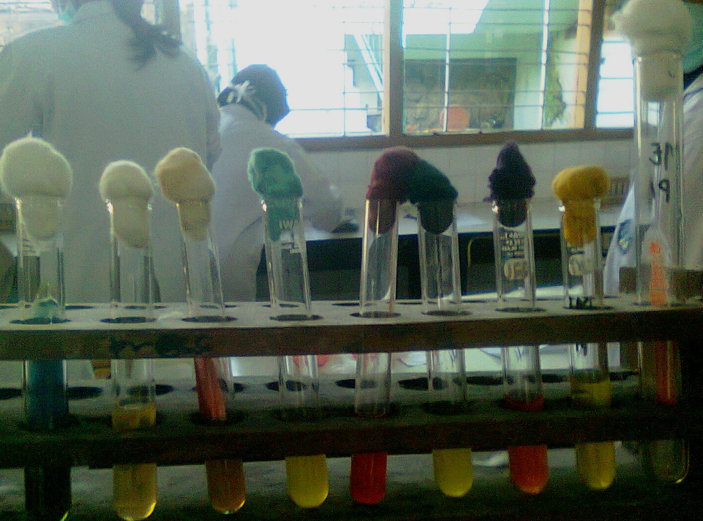 Kultur dan Hasil Uji Biokimia Bakteri Gram Negatif ~ Analis Kesehatan ...