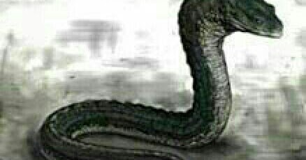 BASÍLISCO A SERPENTE DA MORTE