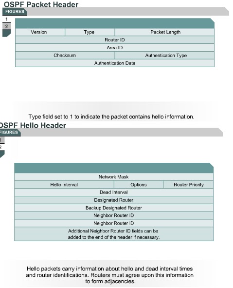 Ccna Be A Good Network Administrator Ospf Hello Protocol