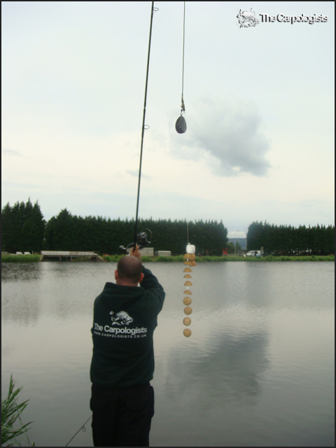The Carpologists: Pendle View Fishery - The Result