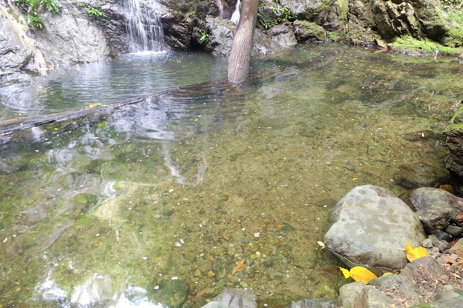 Mt. Cayabu and Mt. Maynoba Traverse to 8 Wonder Falls - From The ...