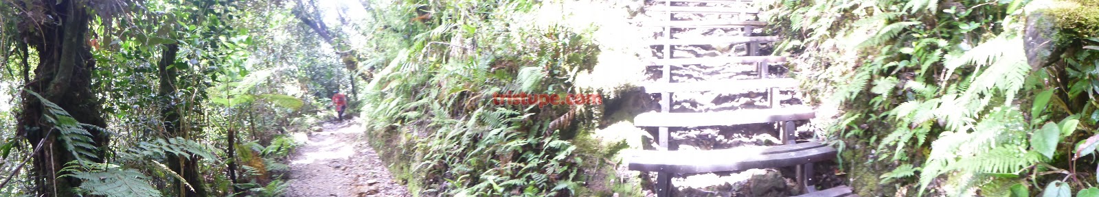 Sabah Adventure Challenge Race Report : Longest Day 1 ~ TRISTUPE.COM