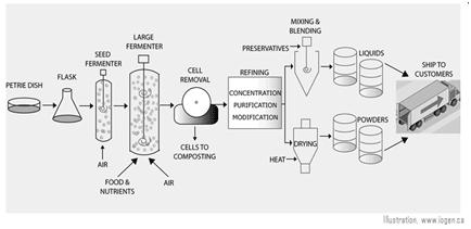 bwatbel: Peran Enzim dalam Dunia Industri
