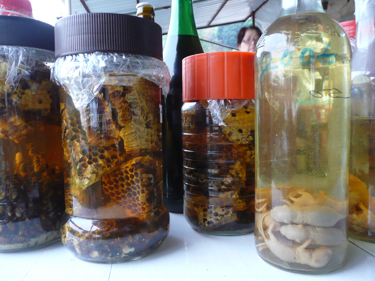 WEBS OF SIGNIFICANCE: Anyone for... baby mice wine?!