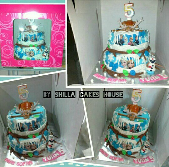 ~ShiLLa CaKeS HoUse~: 2016