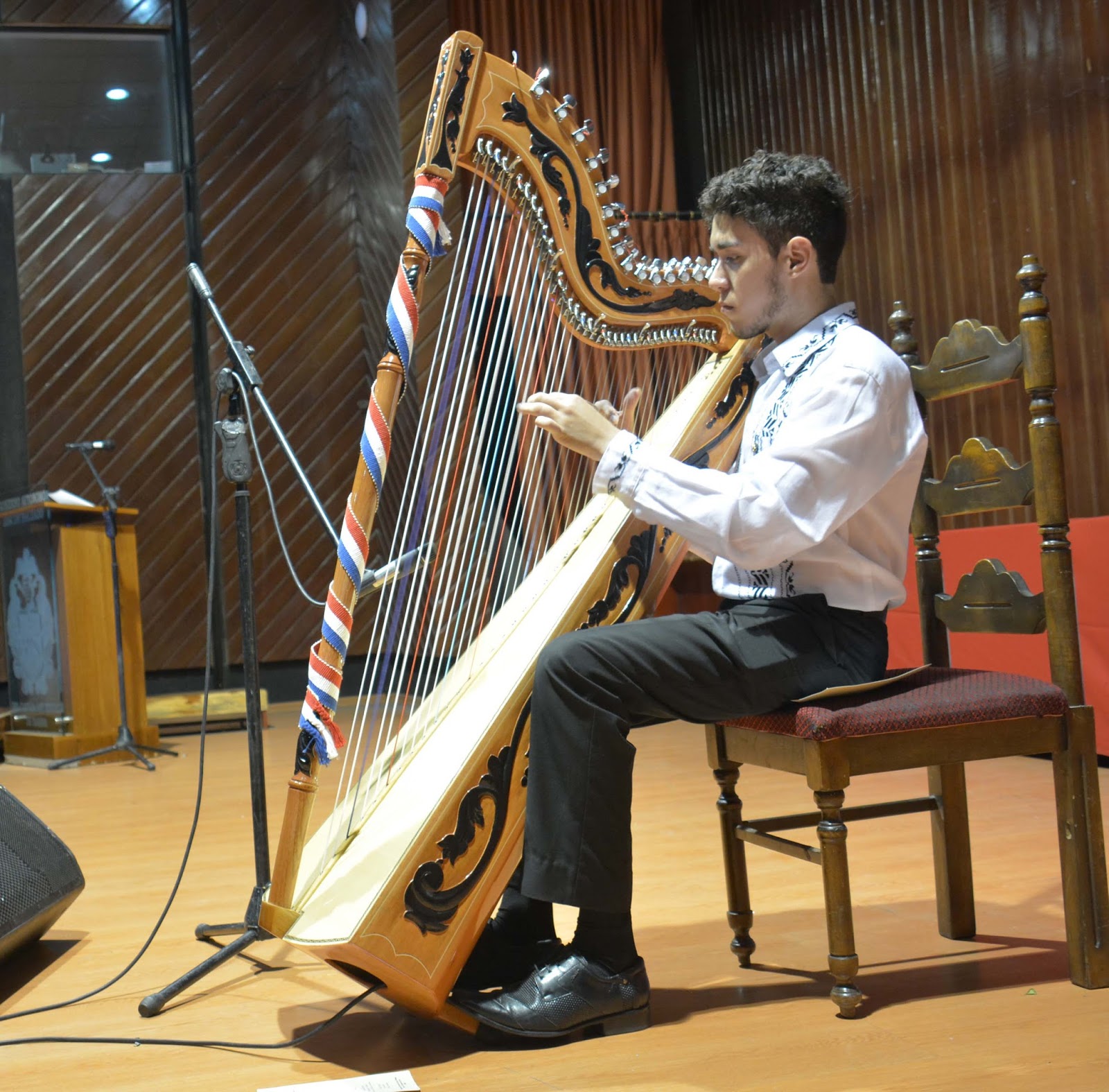 somosdelmismobarro: CONCIERTO INTERNACIONAL DE ARPA EN EL AUDITORIO ...