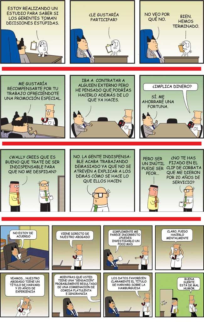 Publicado por FELIPE en 18:12