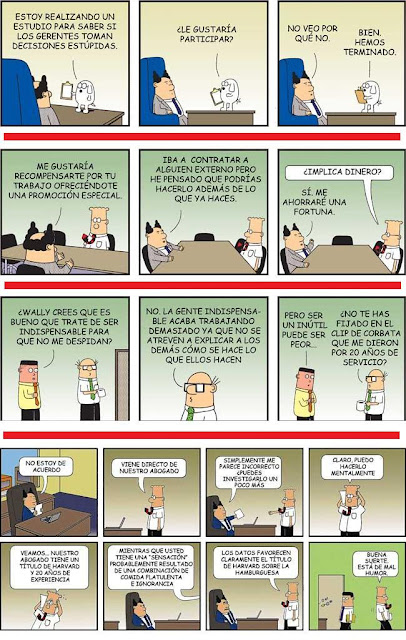 Publicado por FELIPE en 18:12