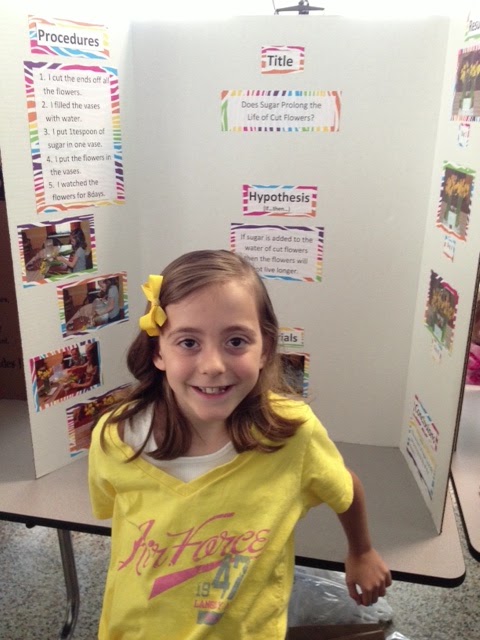 Domestically Frantic: Science Fair
