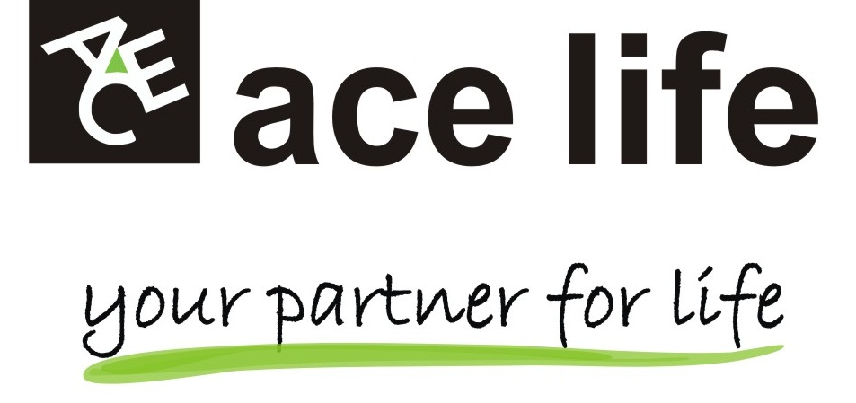 Team Agency Ace Life Bali