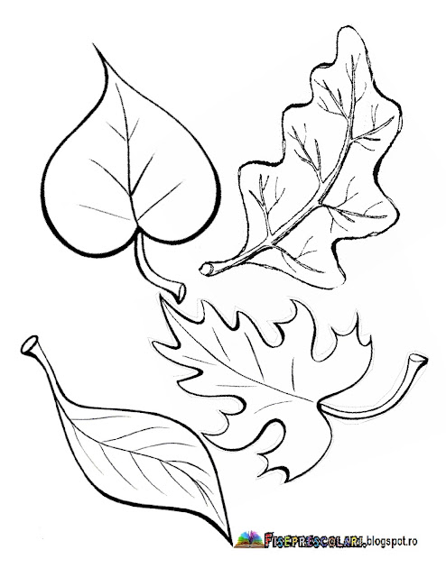 FRUNZE de Printat si Decupat pentru decorat - Decoruri de toamna cu ...