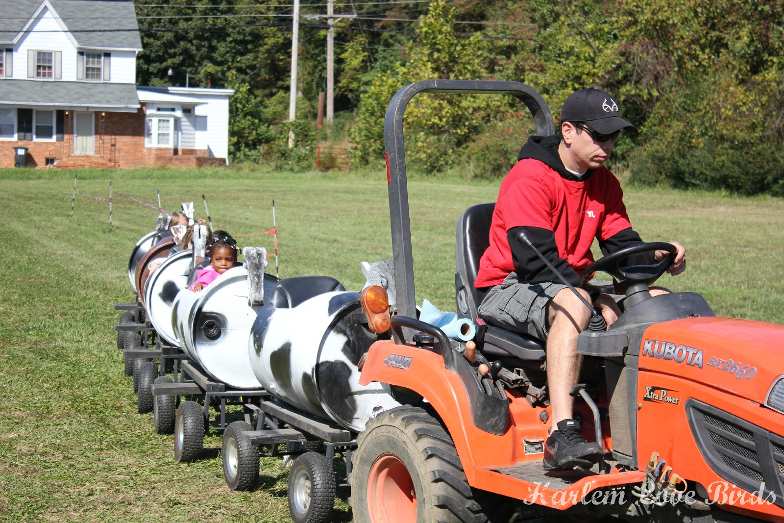 Harlem Lovebirds: Fall Family Fun in Maryland