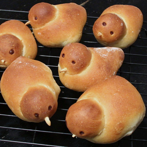 Cookistry: Birdie Bread - adorable buns shaped like little birds!